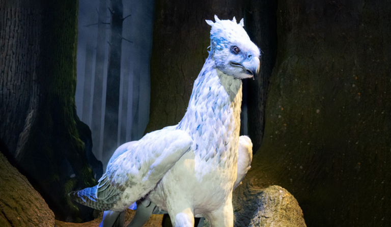 Creature Effects - Warner Bros. Studio Tour Tokyo - The Making of Harry ...